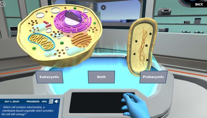 Cell Structure: Cell theory and internal organelles | Labster Virtual Labs